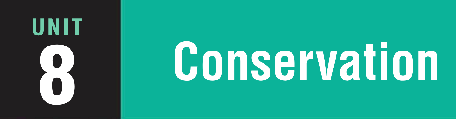 WE2 Unit 6 Conservation Part B | Genially
