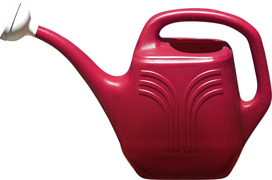 Workshop_CdC | Genially