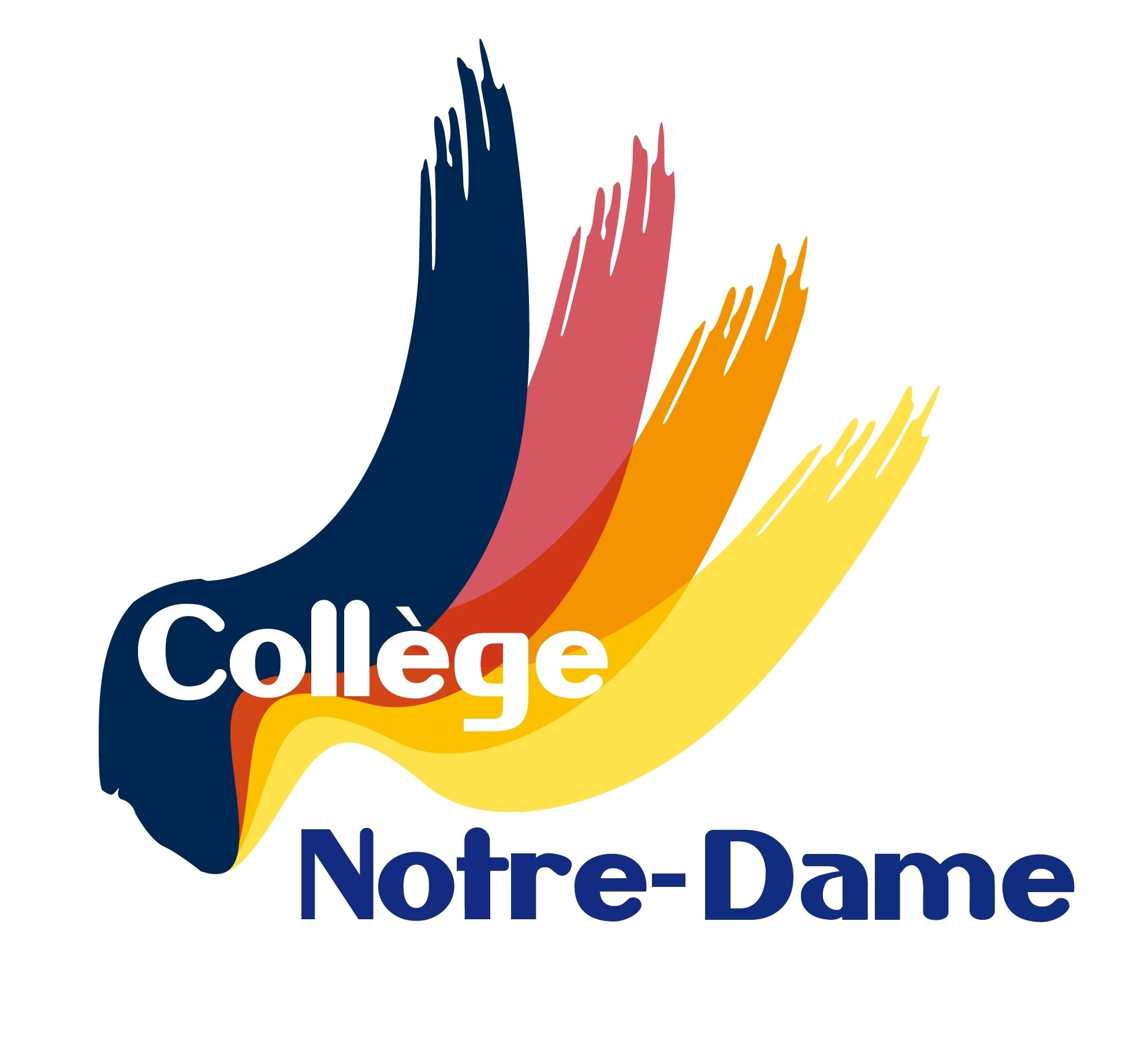 Programmation python 3è | Genially