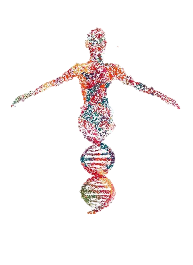 Proyecto Genoma Humano El Día Del ADN. Un Paseo Por La Historia De La