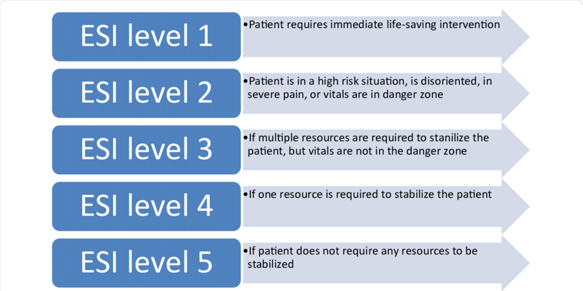 HISTORIA DEL TRIAGE | Genially