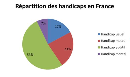 Le handicap visuel