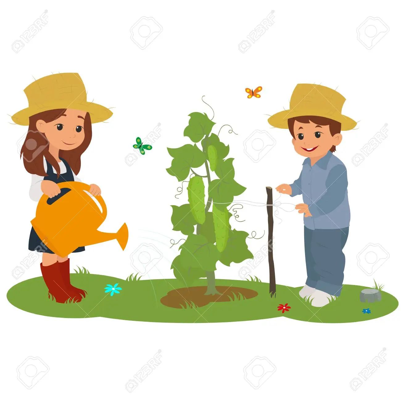 LA IMPORTANCIA DE LAS PLANTAS