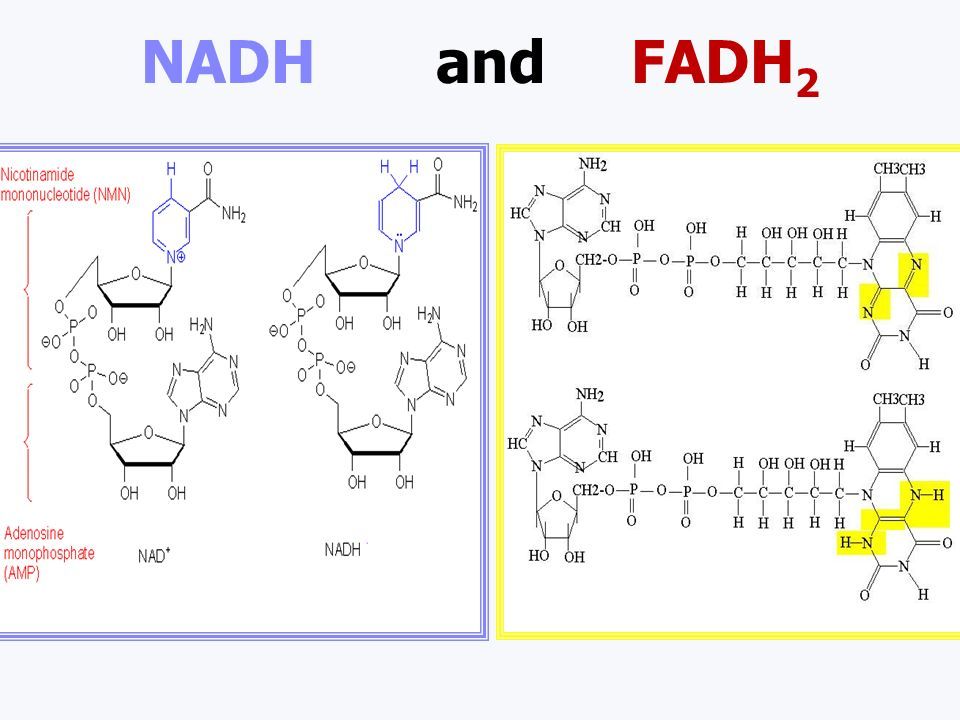 NUMBER THE IMAGES | Genially