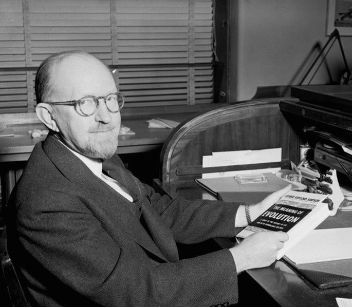 Actividad Integradora 1 | Genially