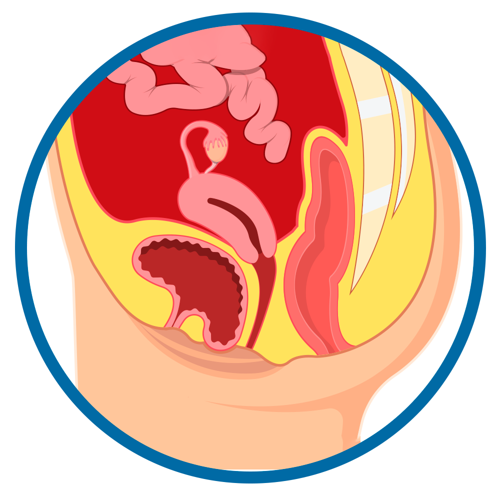 MAPA MENTAL SM | Genially