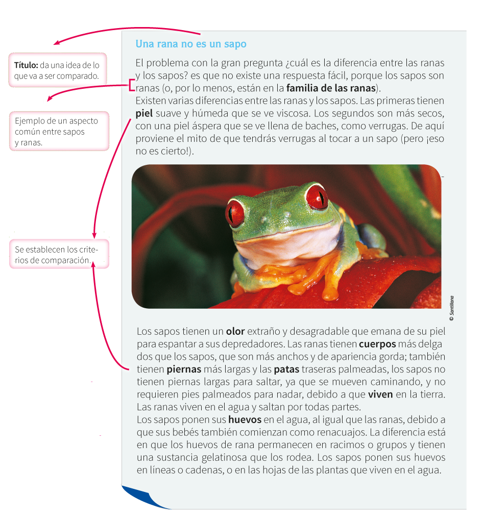 TEXTO COMPARATIVO | Genially
