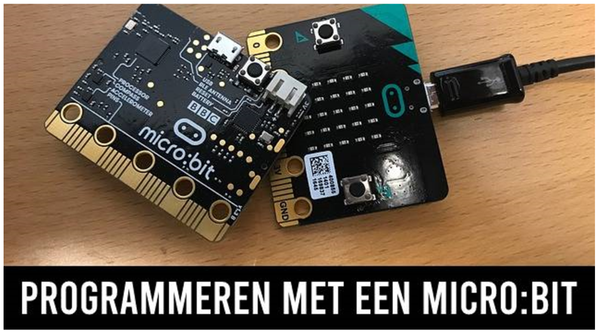 Micro:bit VBS De Zonnebloem