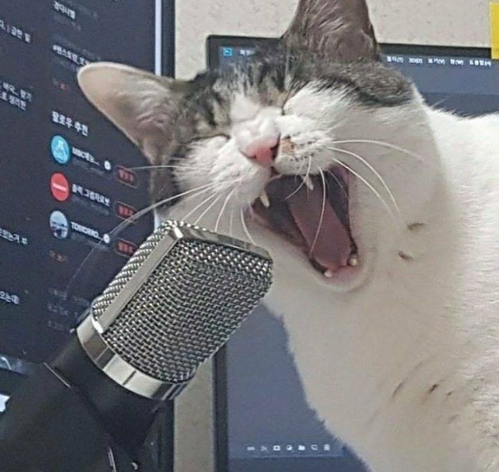 actividad integradora | Genially