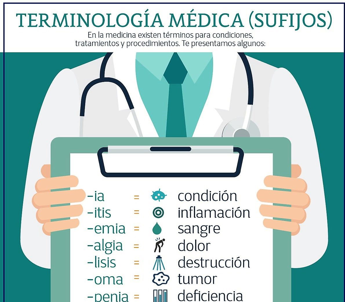Imagen interactiva Terminología Médica
