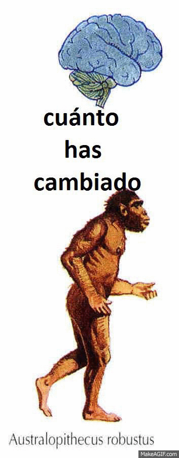 EL ORIGEN DE LA HUMANIDAD | Genially