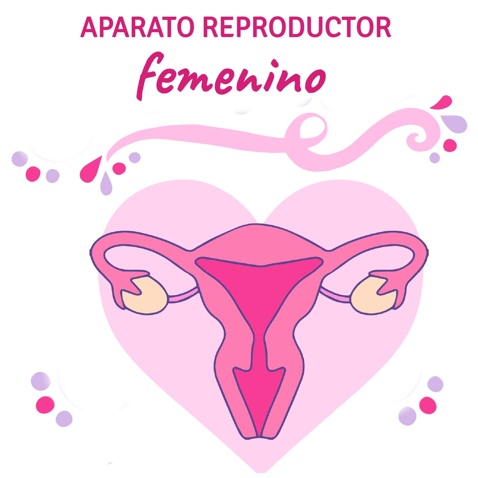 APARATO REPRODUCTOR FEMENINO | Genially