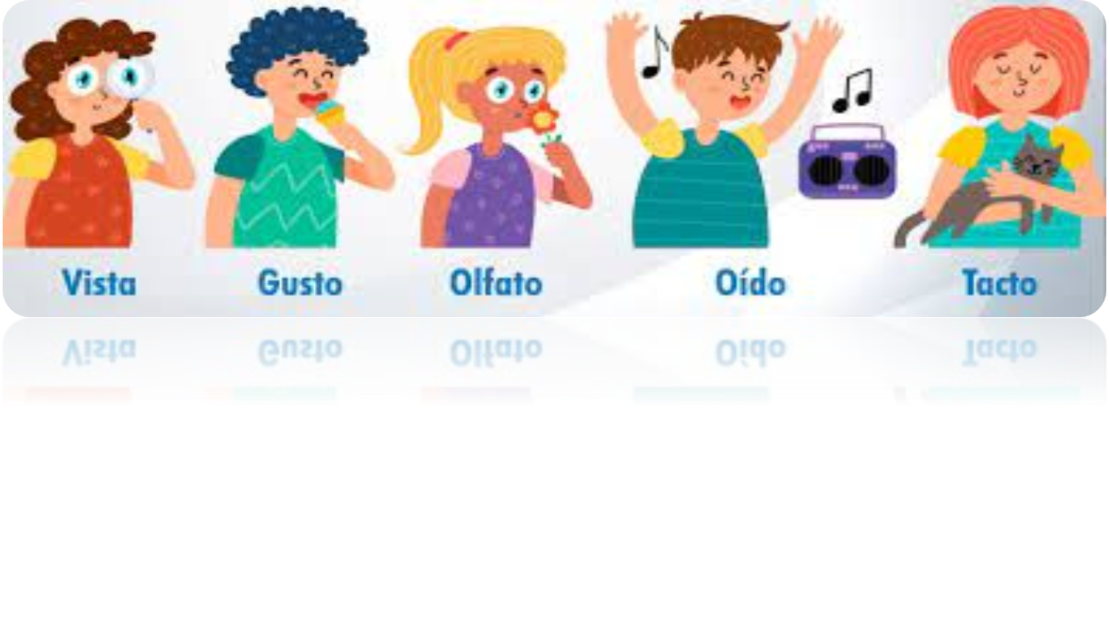 presentacion 5 sentidos