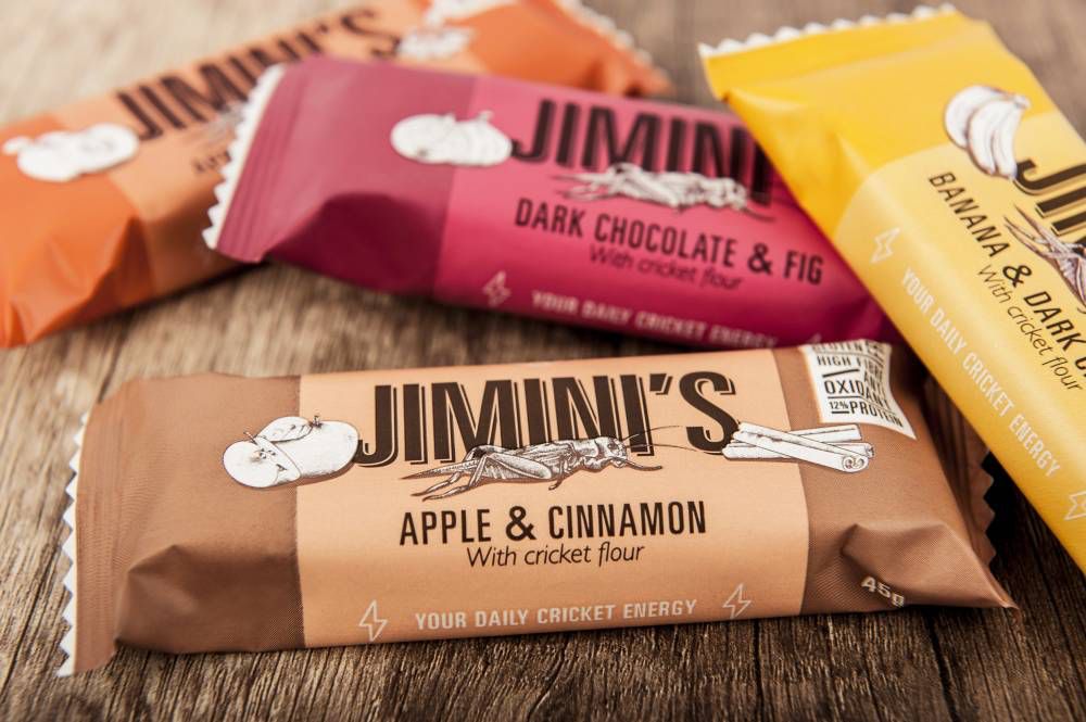 INFOGRAPHIE JIMINI'S