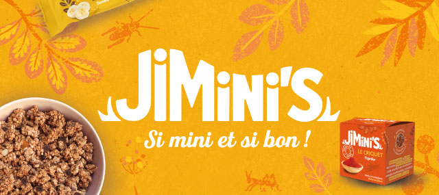 INFOGRAPHIE JIMINI'S