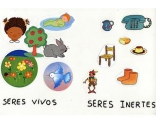 SERES VIVOS Y SERES INERTES