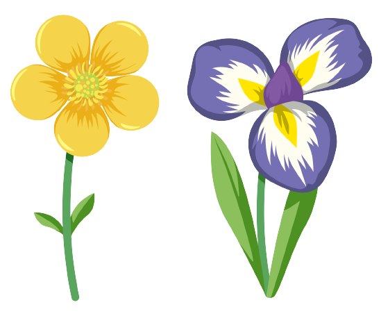 March Lessons | Genially