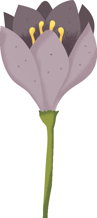 Das Gedicht „Die Tulpe”, von Josef Goggenmos