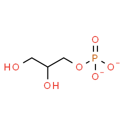 FUNCTIONAL GROUPS | Genially