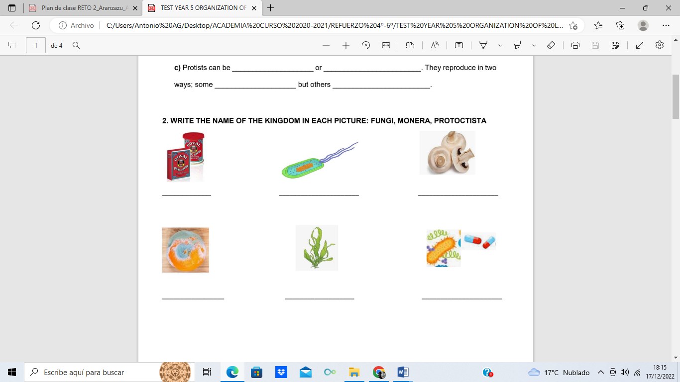 classification of living things mindmap | Genially