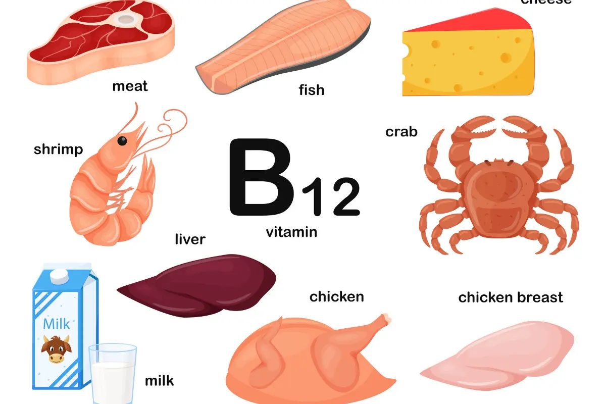 Vitamina B12 | Genially