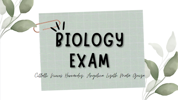 Third partial Exam Biology | Genially