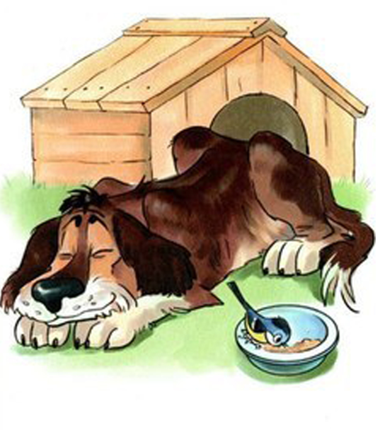 The verbs of action | Genially