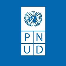 ORGANISACIONES DE LA ONU