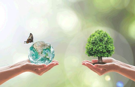 THE ALPS INTERACTIVE IMAGE