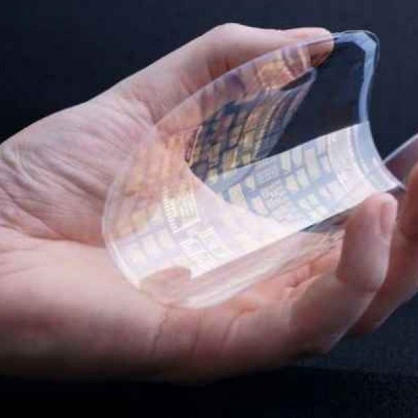 Shirlk 1ºBach A | Genially