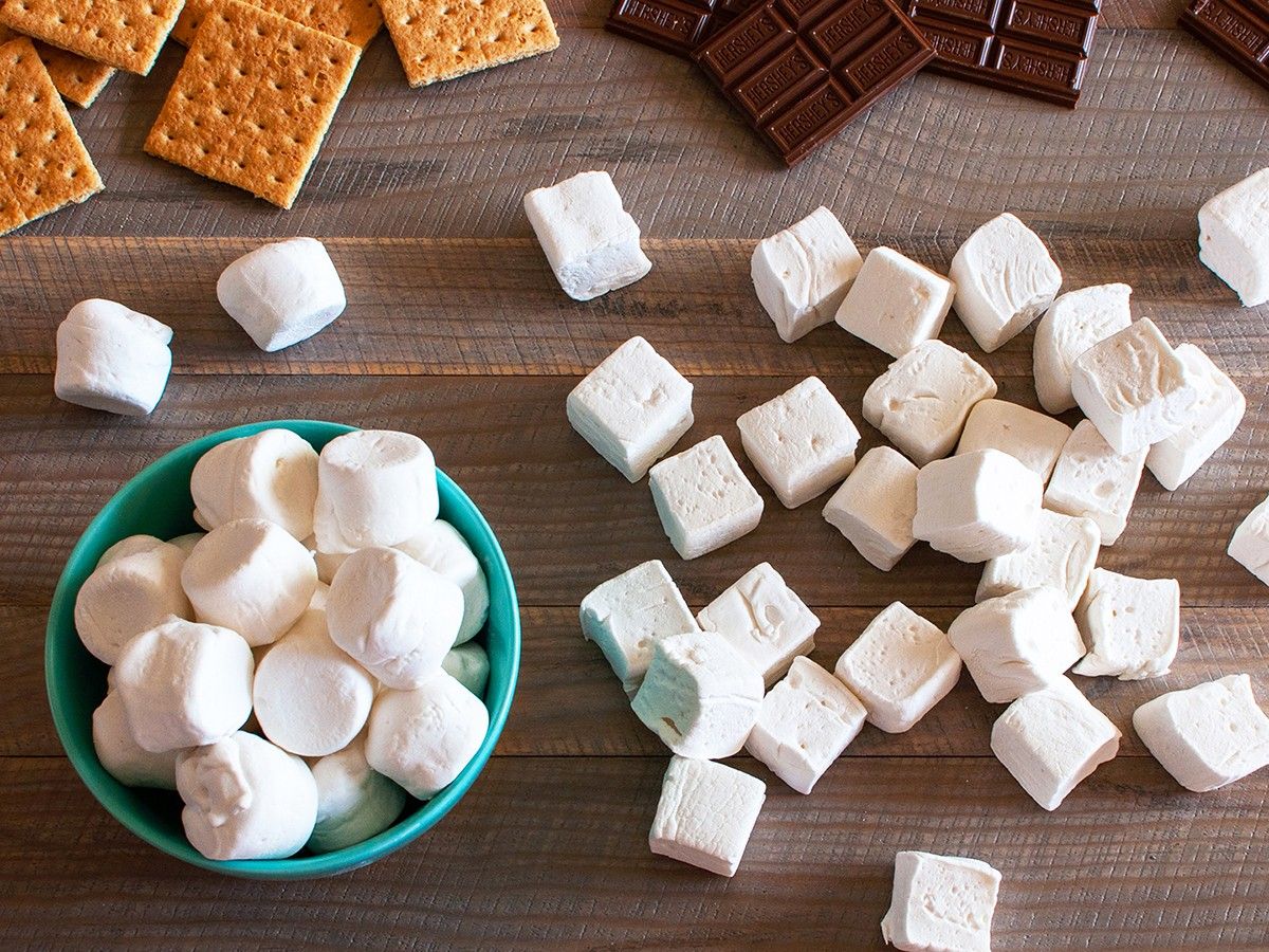 Marshmallow experiment | Genially