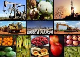 Sektore eskonomikoak