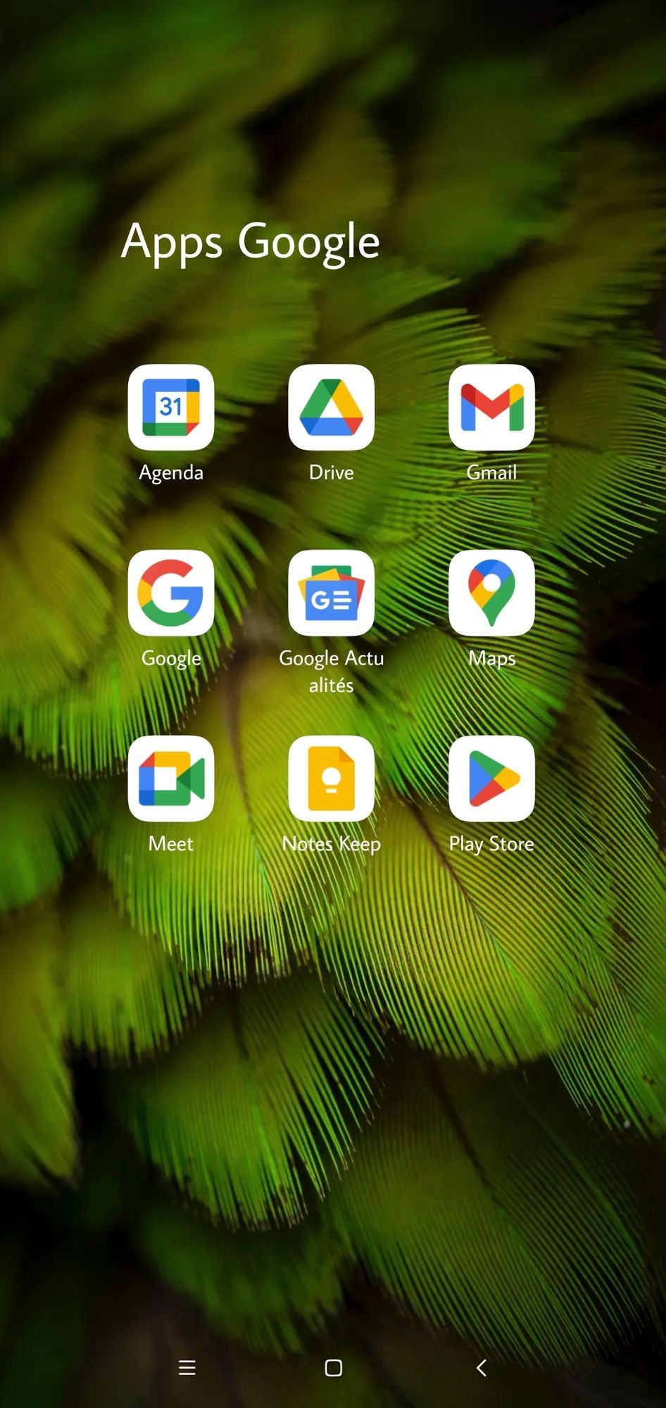 test-services-google