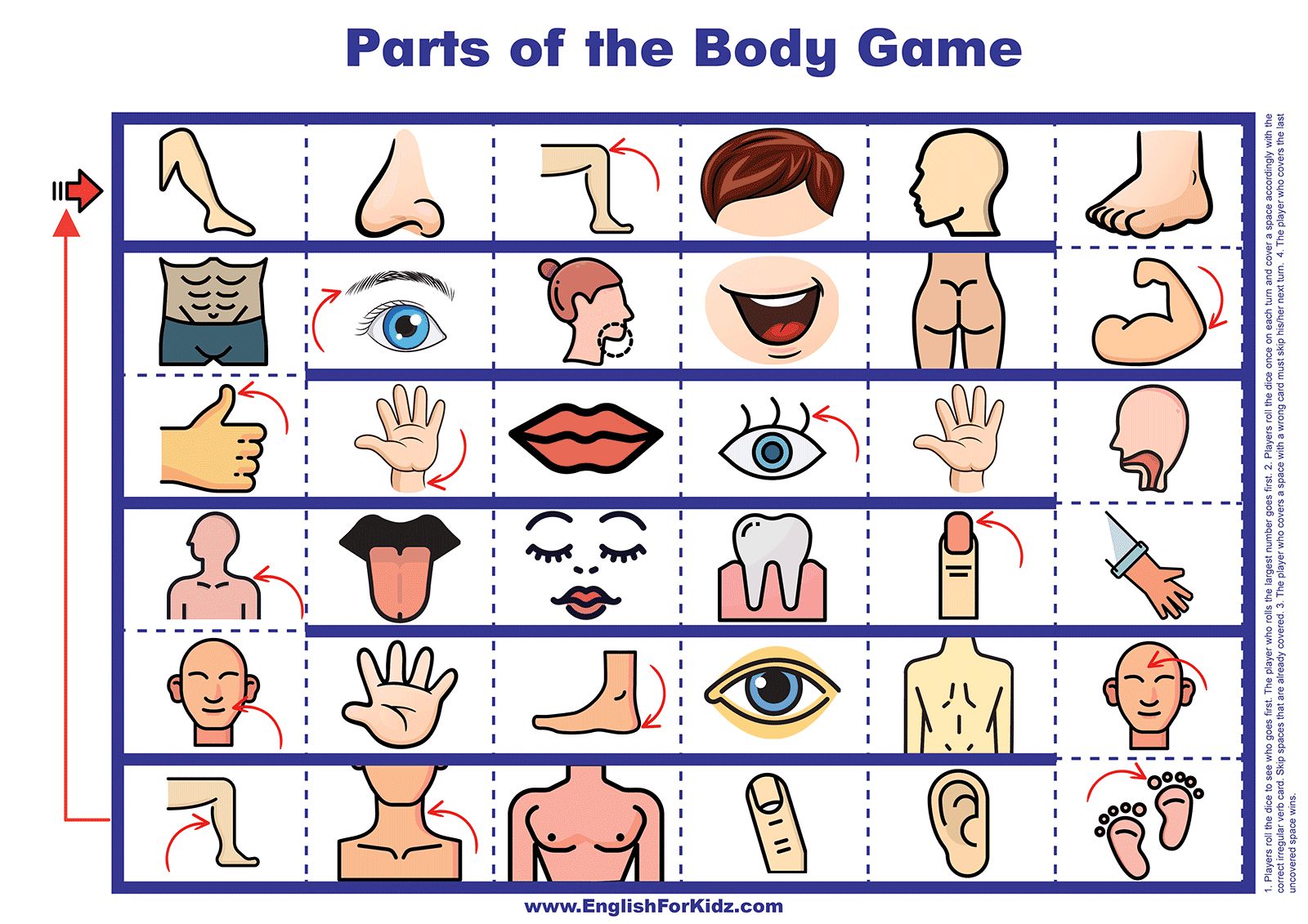 Body parts | Genially