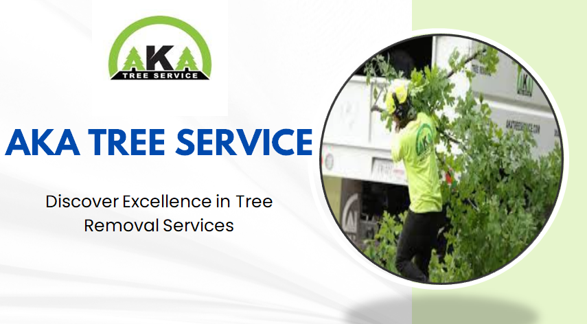 AKA Tree Service: Atlanta Tree Removal Service Experts