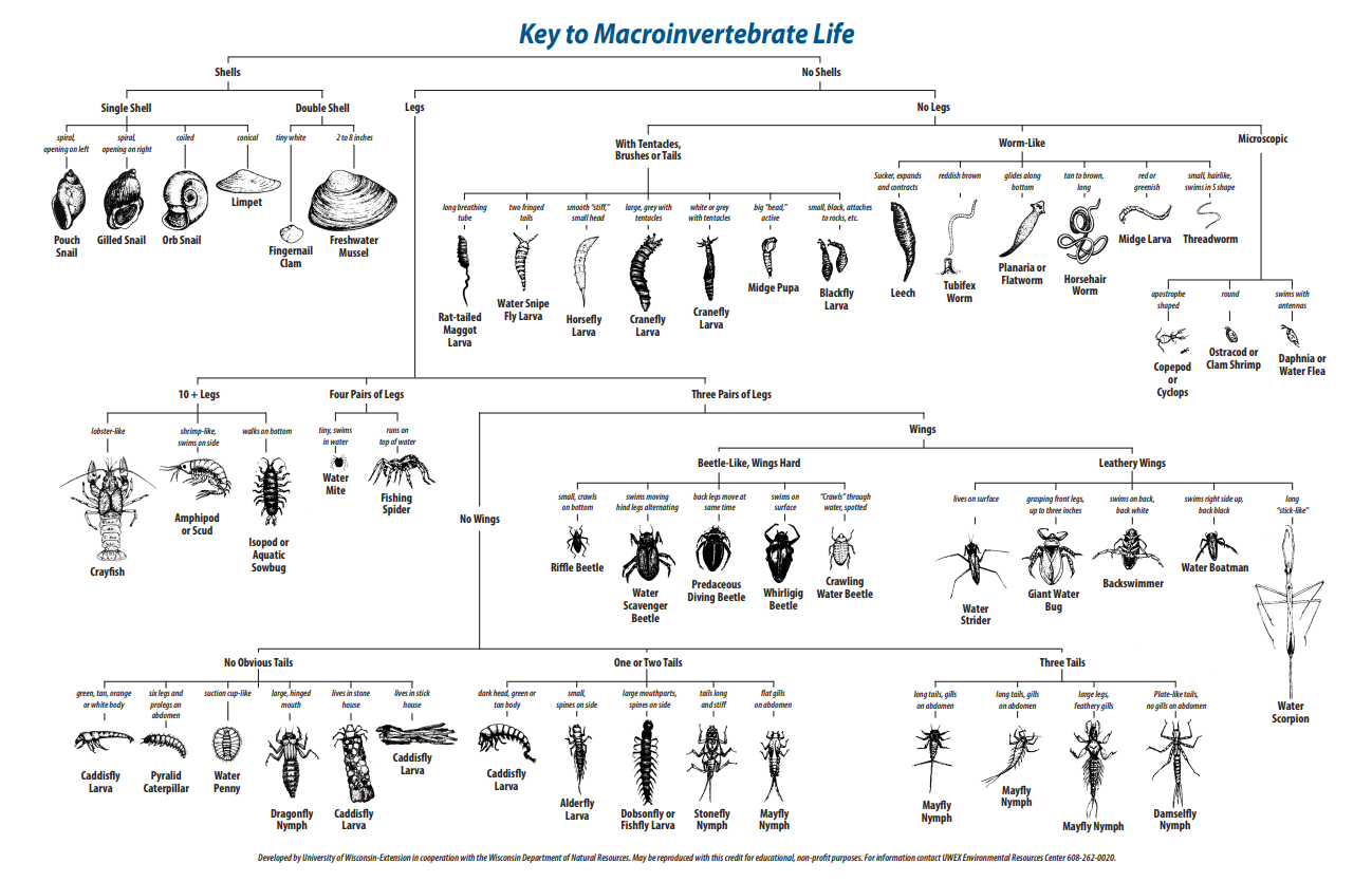 Resources for the Ecosystem Project | Genially