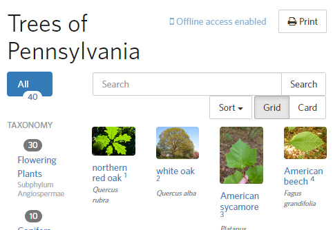 Resources for the Ecosystem Project | Genially