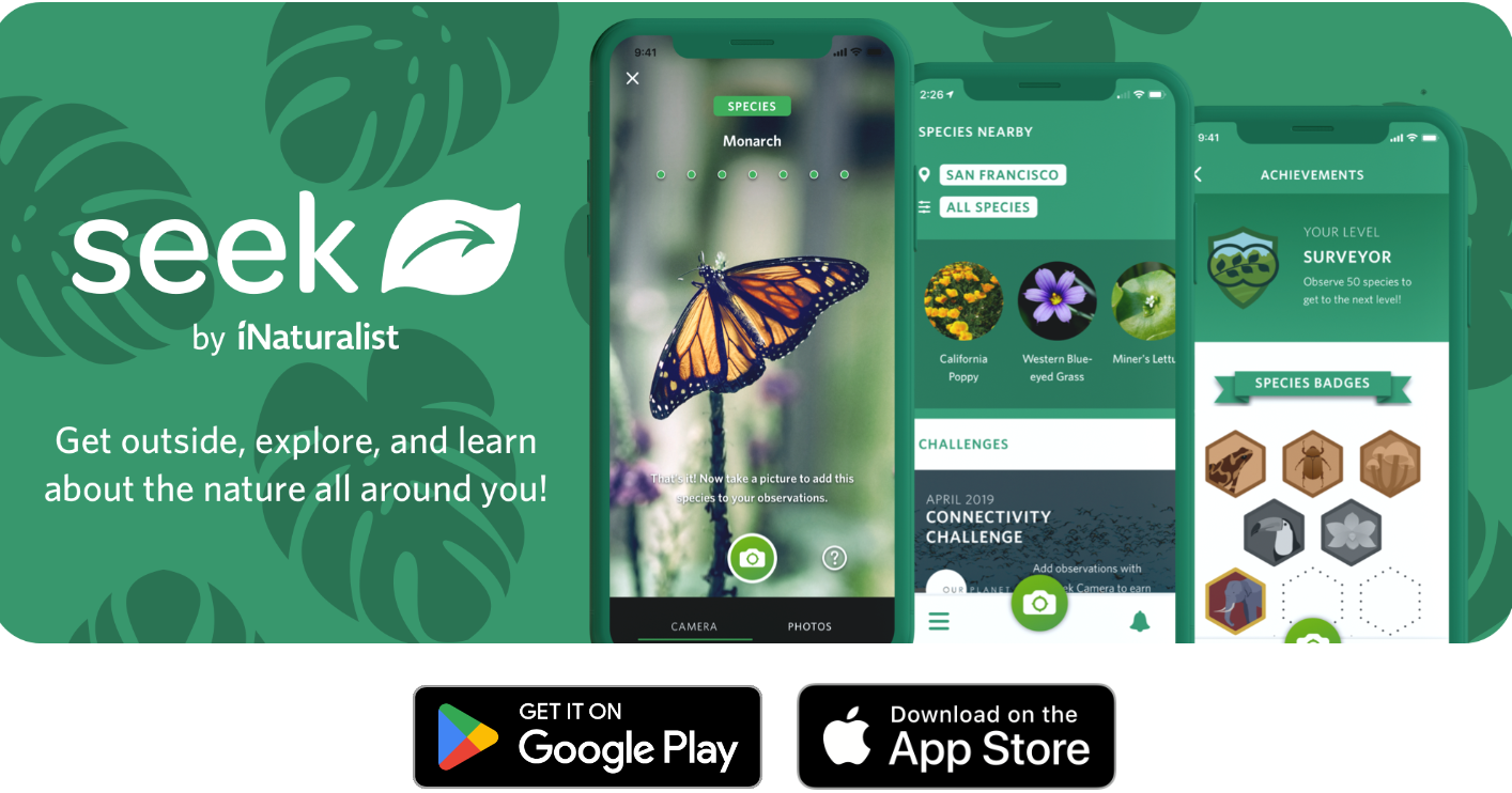 Resources for the Ecosystem Project | Genially
