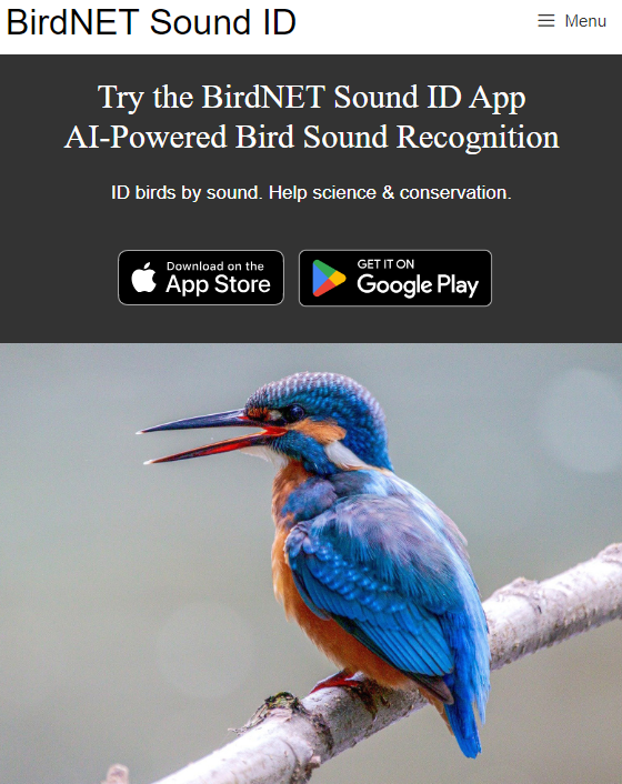 Resources for the Ecosystem Project | Genially