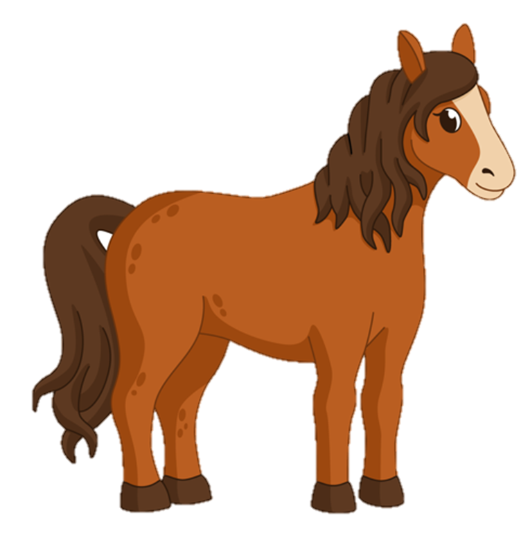 BASIC DOSSIER | Genially