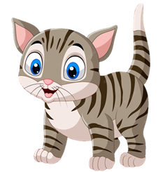 BASIC DOSSIER | Genially