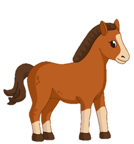 BASIC DOSSIER | Genially