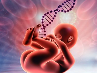 Desarrollo prenatal | Genially