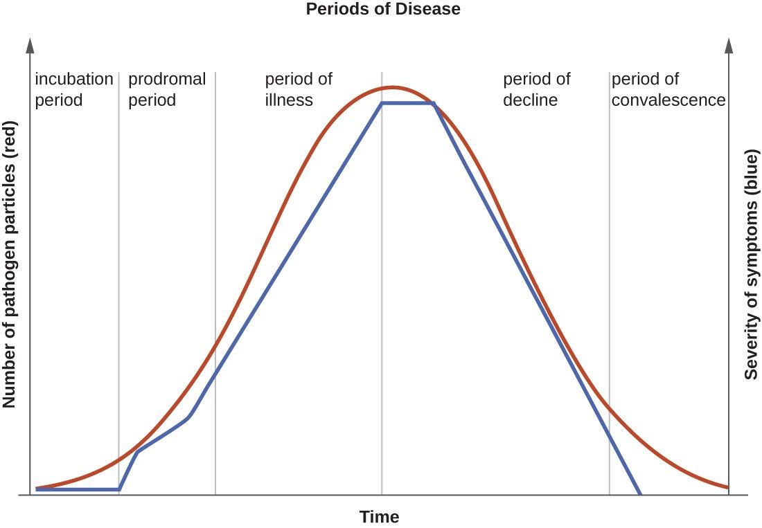 TIMELINE, INVASION BY PATHOGENS STAGES