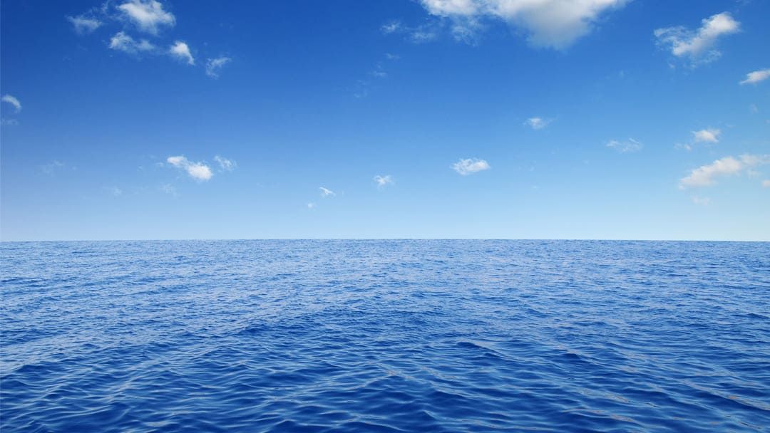 I nostri slogan per salvare il mare | Genially