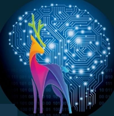 SEED LIST | Genially