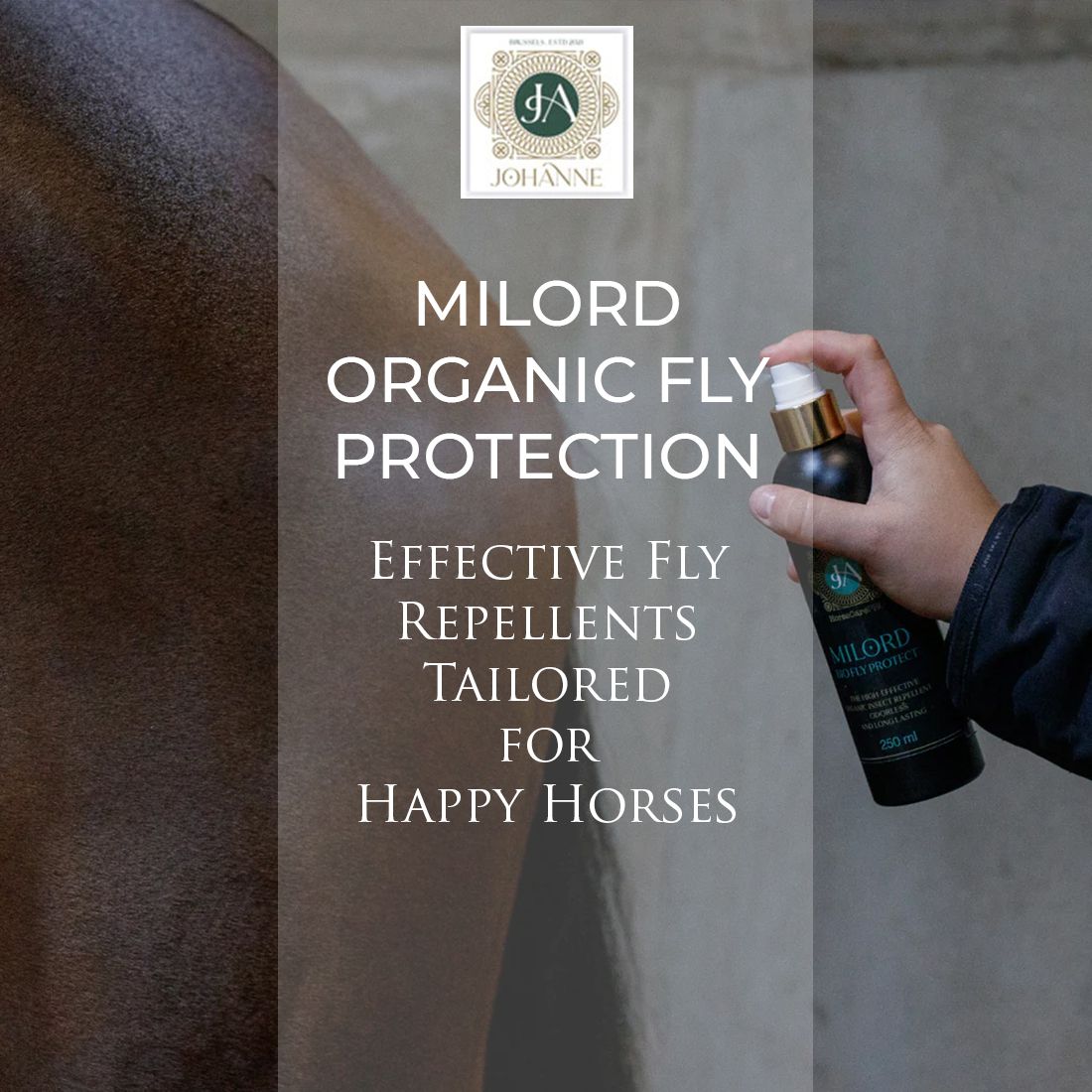 Fly Repellents for Horses