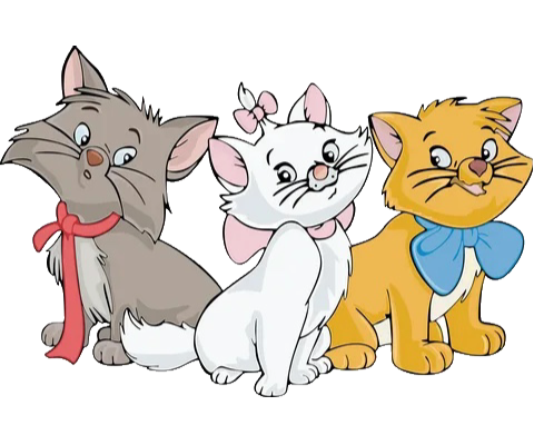 have/ has got | Genially