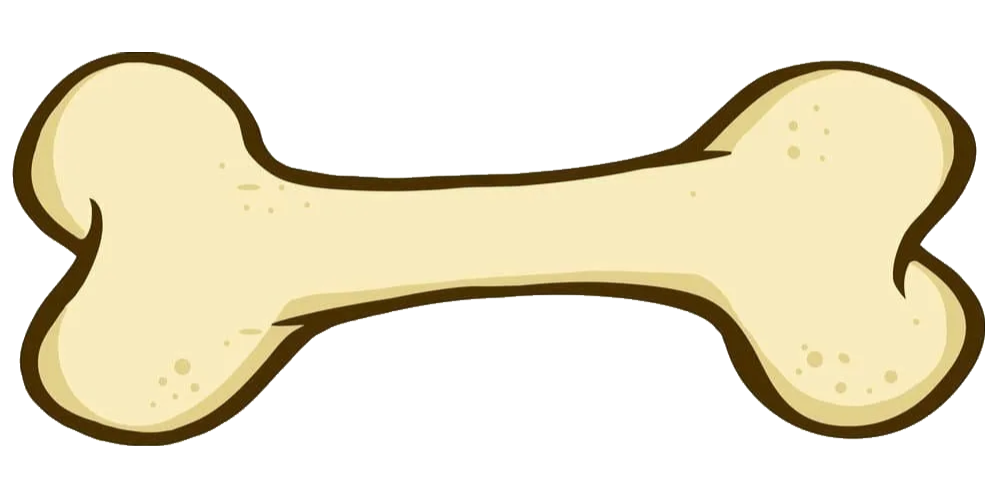 make questions present simple | Genially