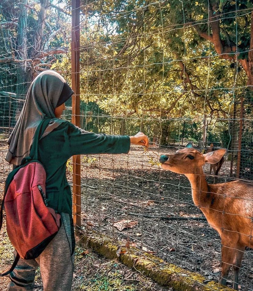 PLANT GROWTH STAGES | Genially